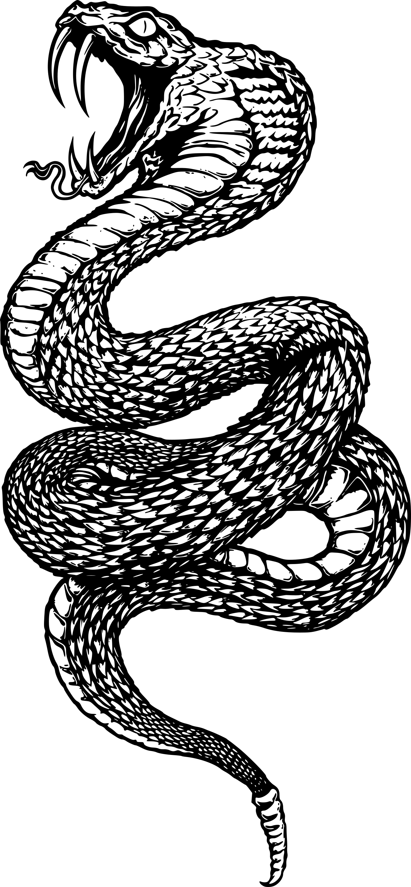 Animals - Snakes - A012 | Kohler Kustoms